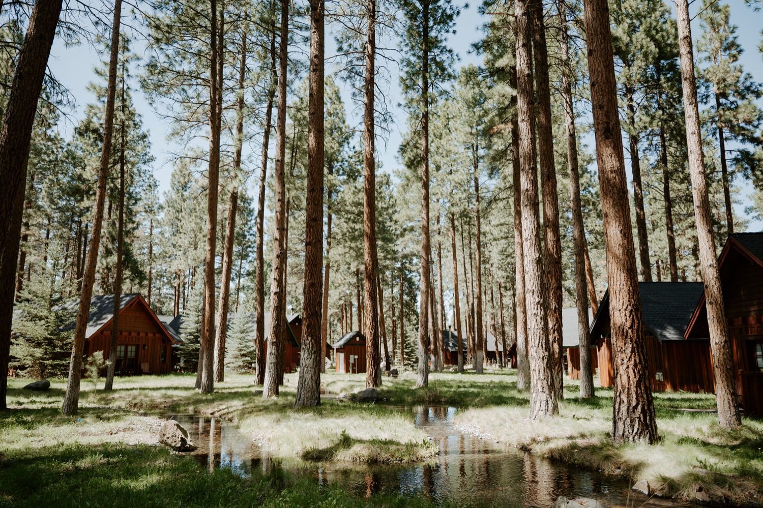 A Spring Five Pine Lodge Elopement - Anais Possamai Photography